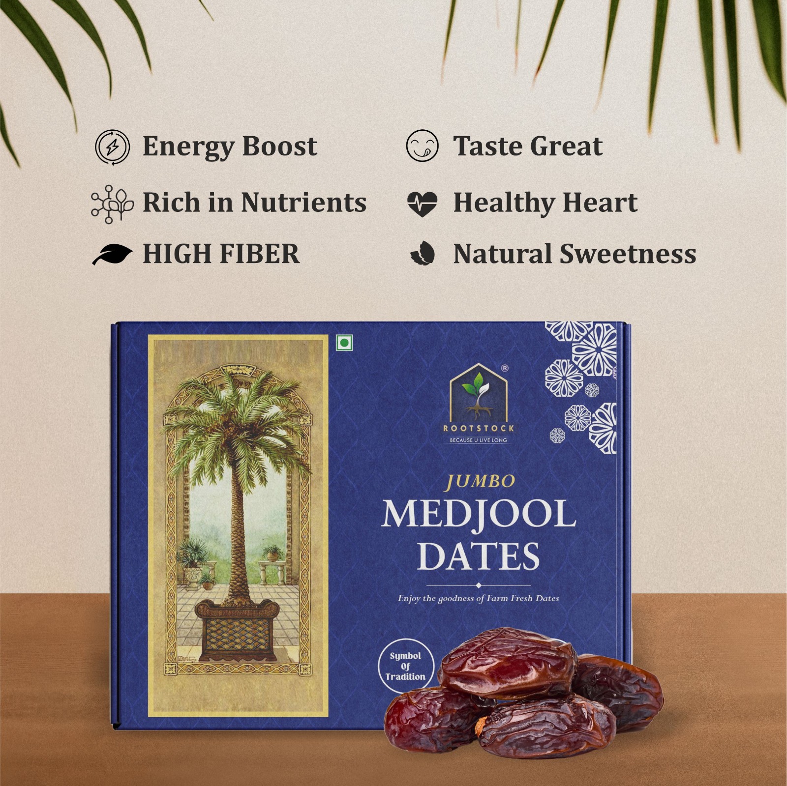 Jumbo Medjool Dates - Rootstock